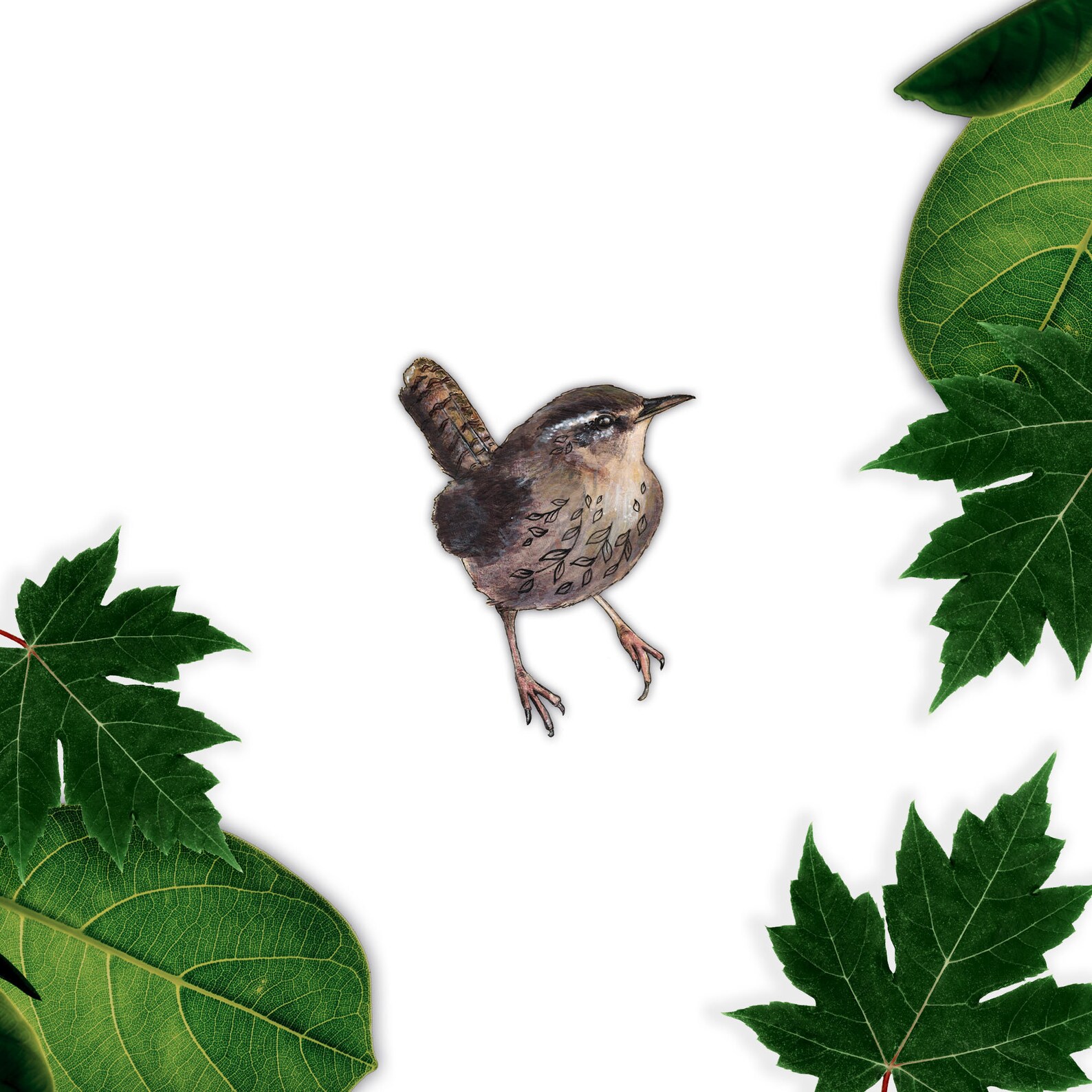 Removable Wall Stickers Cute Wren Bird Vinyl Wall Decal | Etsy