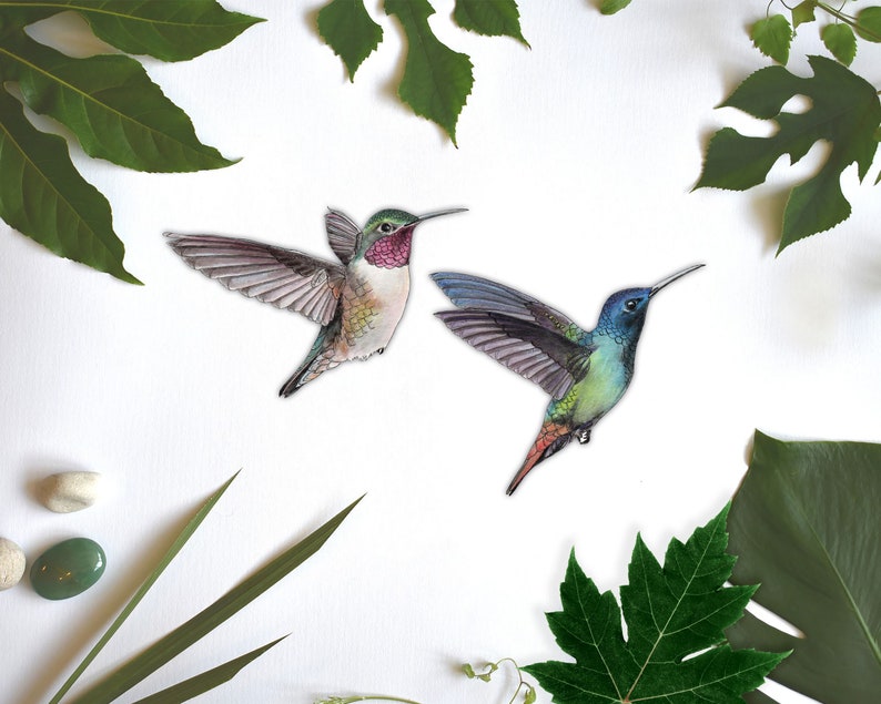 Hummingbird Wall Stickers Hummingbird Decor Humming Bird - Etsy