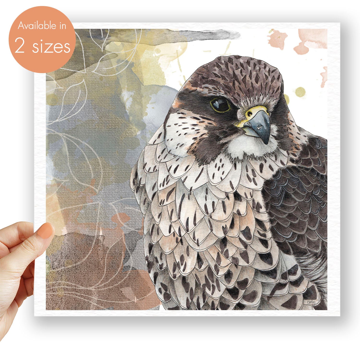 Falcon art print Bird of Prey illustration Wildlife art for | Etsy