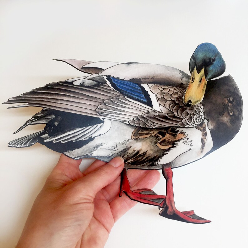 Mallard Duck Decal Vinyl Art Stickers Duck Wall Stickers for - Etsy