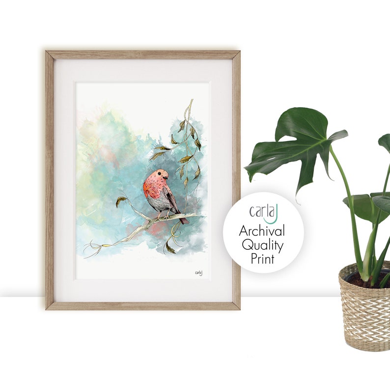 Robin Watercolour Painting Bird Art Print Robin Red Breast - Etsy