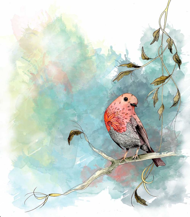 Robin Watercolour Painting Bird Art Print Robin Red Breast - Etsy