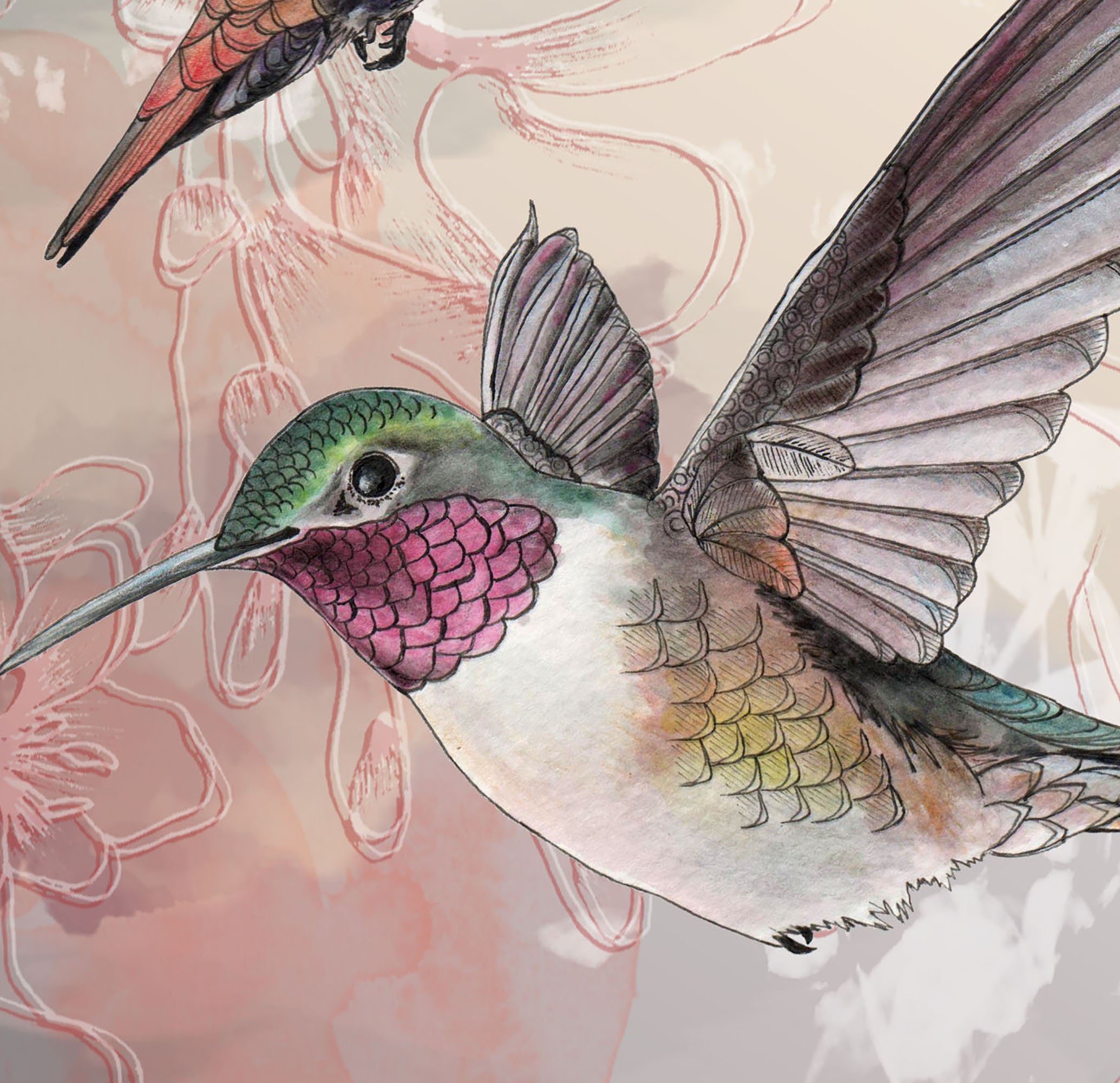 Hummingbird art print Hummingbirds wall decor Pink prints | Etsy