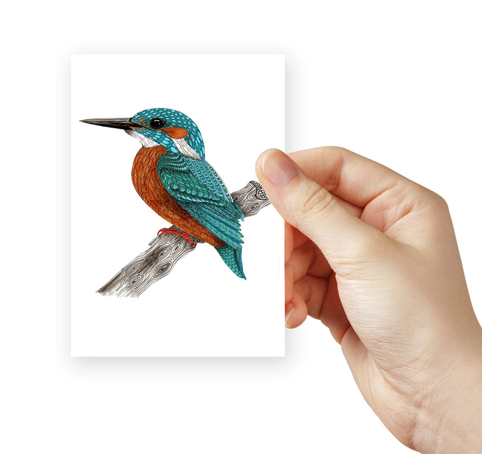 Tiny art print miniature prints Kingfisher art ACEO print | Etsy