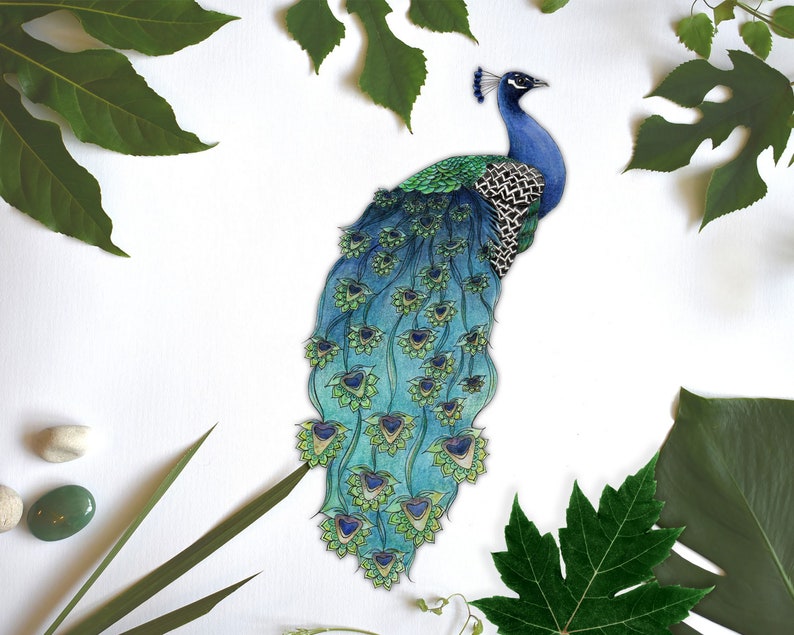 Peacock Decal, Peacock Sticker, Bird Stickers, Bird Decal, Bird Vinyl ...