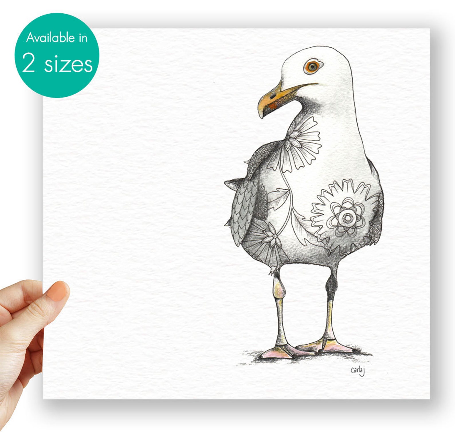 Seagull Print Bird Illustration Minimal Print Coastal Wall - Etsy UK