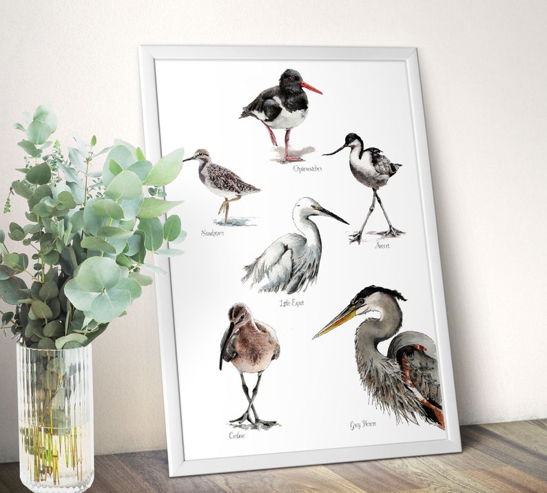 Birds Poster Wading Bird Wall Art Print Coastal Birds - Etsy UK