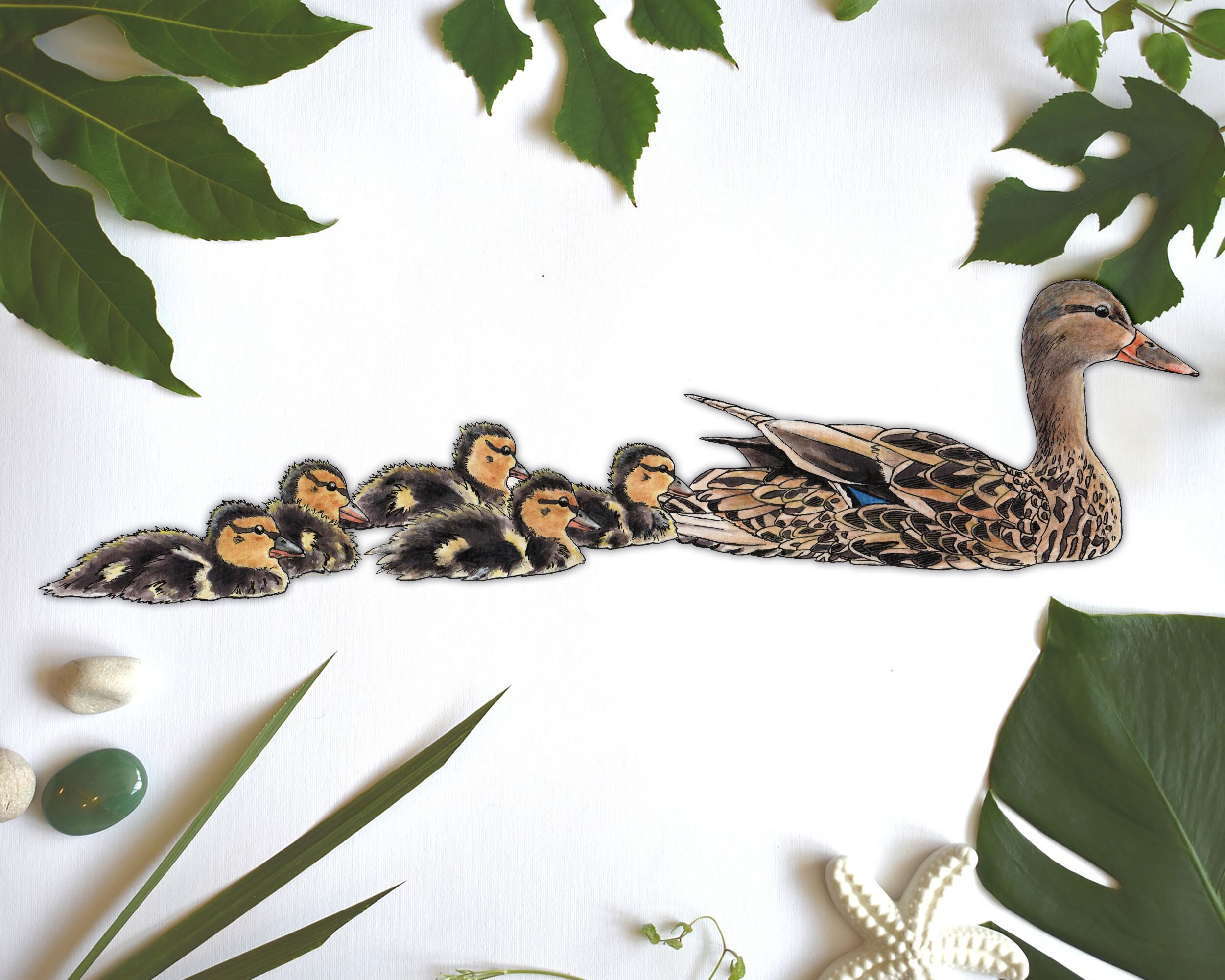 Duck Decal for Wall Ducks Wall Sticker Duckling Wall - Etsy