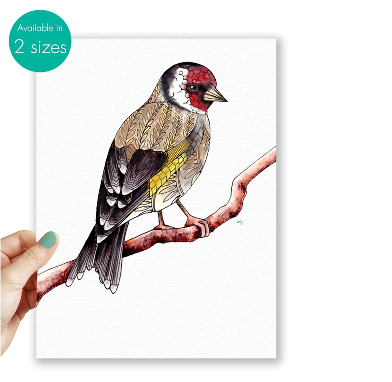 Goldfinch Print British Garden Birds Nature Art Bird - Etsy UK