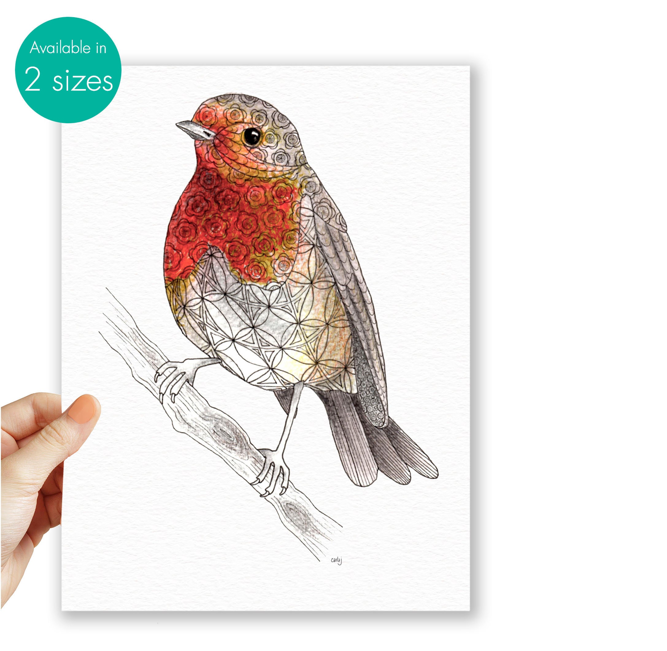 Robin Red Breast Art Print Robin Gifts British Garden Birds - Etsy UK