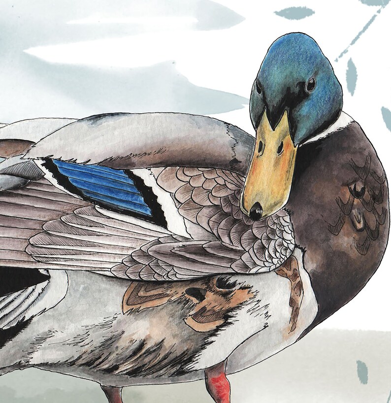 Mallard Duck Print Modern Farmhouse Wall Art Nature Lover - Etsy
