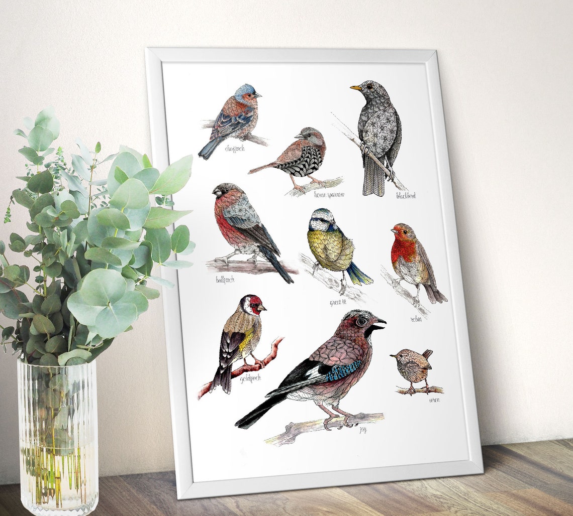 British Garden Birds Poster Wildlife Wall Art Print Nature - Etsy UK