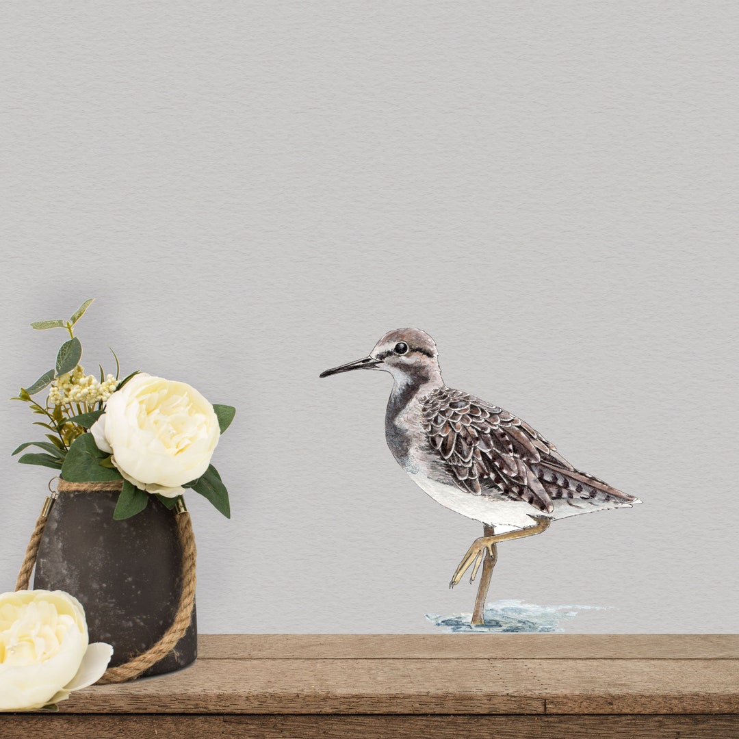 Wading Bird Removable Wall Sticker, Sandpiper Water Bird Vinyl Decal - Etsy