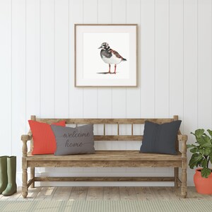 Shore Bird Illustration Art Print, Minimal Print, Turnstone Coastal ...