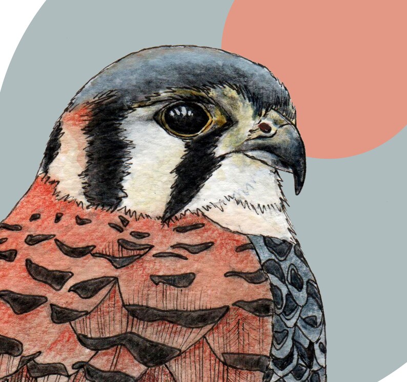 Set of 2 Prints Birds of Prey Art Contemporary Wall Art for - Etsy