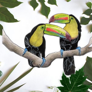 Removable Wall Decal Toucan Gifts, Bird Vinyl Wall Sticker, Tropical ...