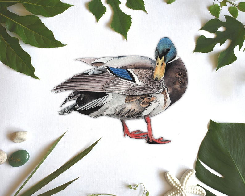 Mallard Duck Decal Vinyl Art Stickers Duck Wall Stickers for - Etsy