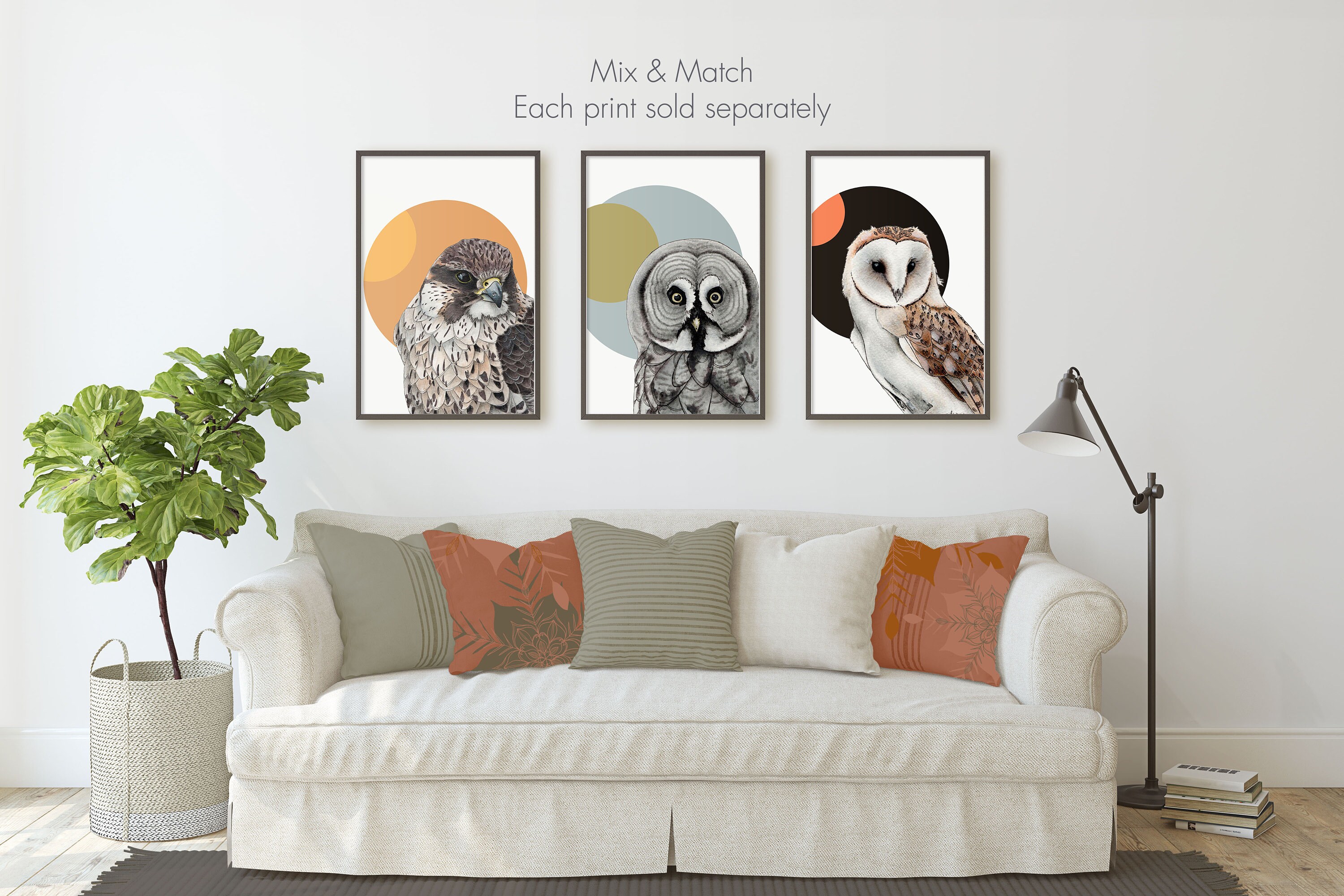 Barn Owl Art Nature Prints Bird of Prey Owl Print | Etsy