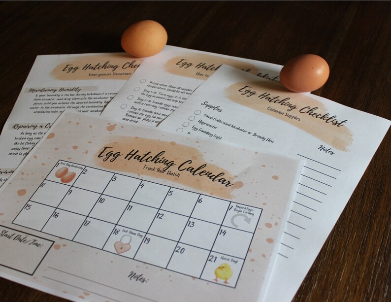 Peach Printable Egg Hatching Checklist, Egg Hatching Calendar, Egg ...