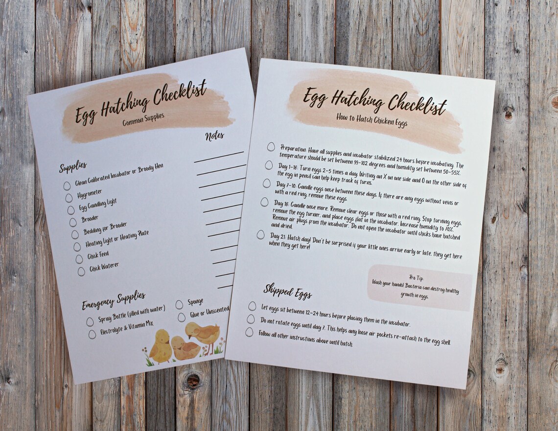 Peach Printable Egg Hatching Checklist, Egg Hatching Calendar, Egg ...