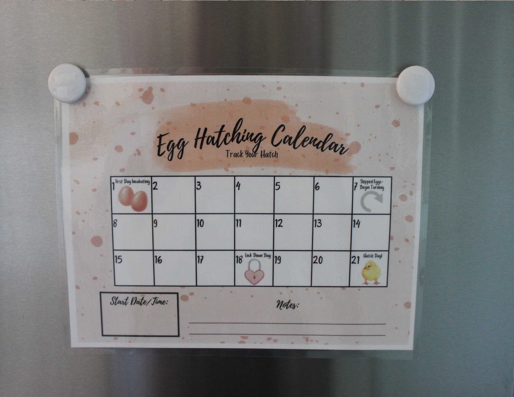 Laminated Egg Hatching Checklist, Egg Hatching Calendar, Egg Hatching ...