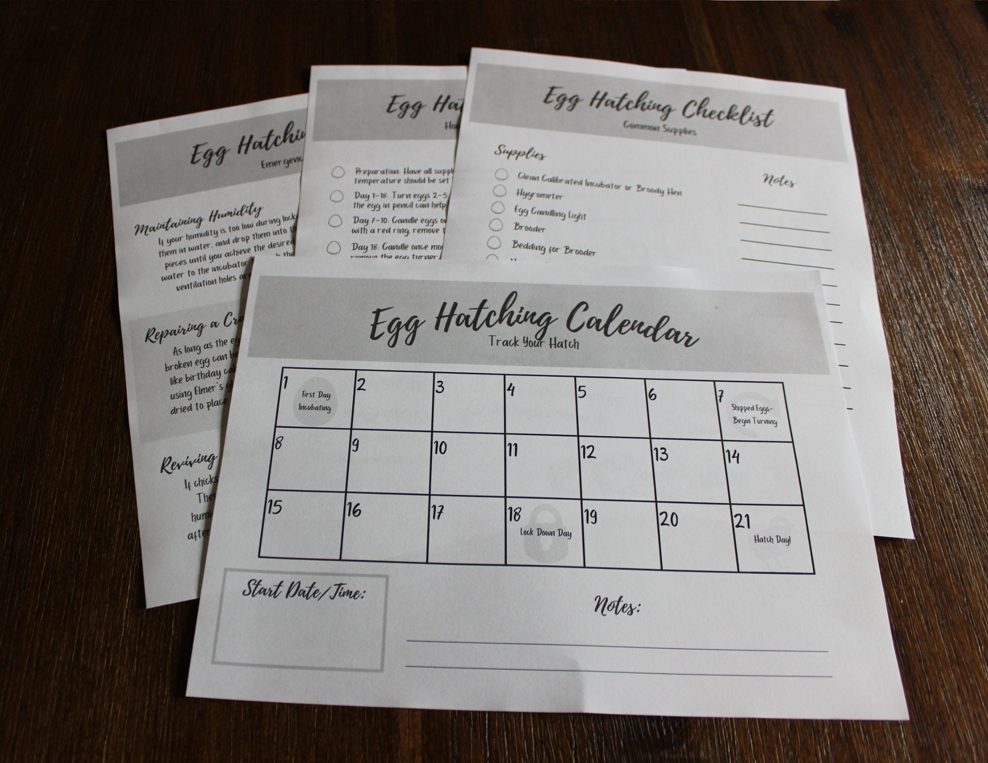 Gray Printable Egg Hatching Checklist, Egg Hatching Calendar, Egg ...