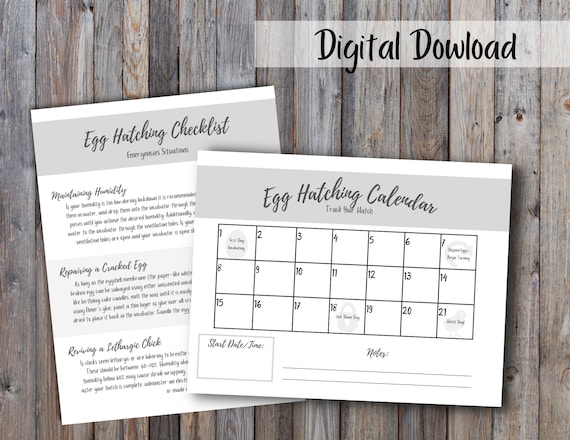 Gray Printable Egg Hatching Checklist Egg Hatching Calendar | Etsy