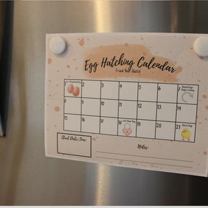 Peach Printable Egg Hatching Checklist, Egg Hatching Calendar, Egg ...