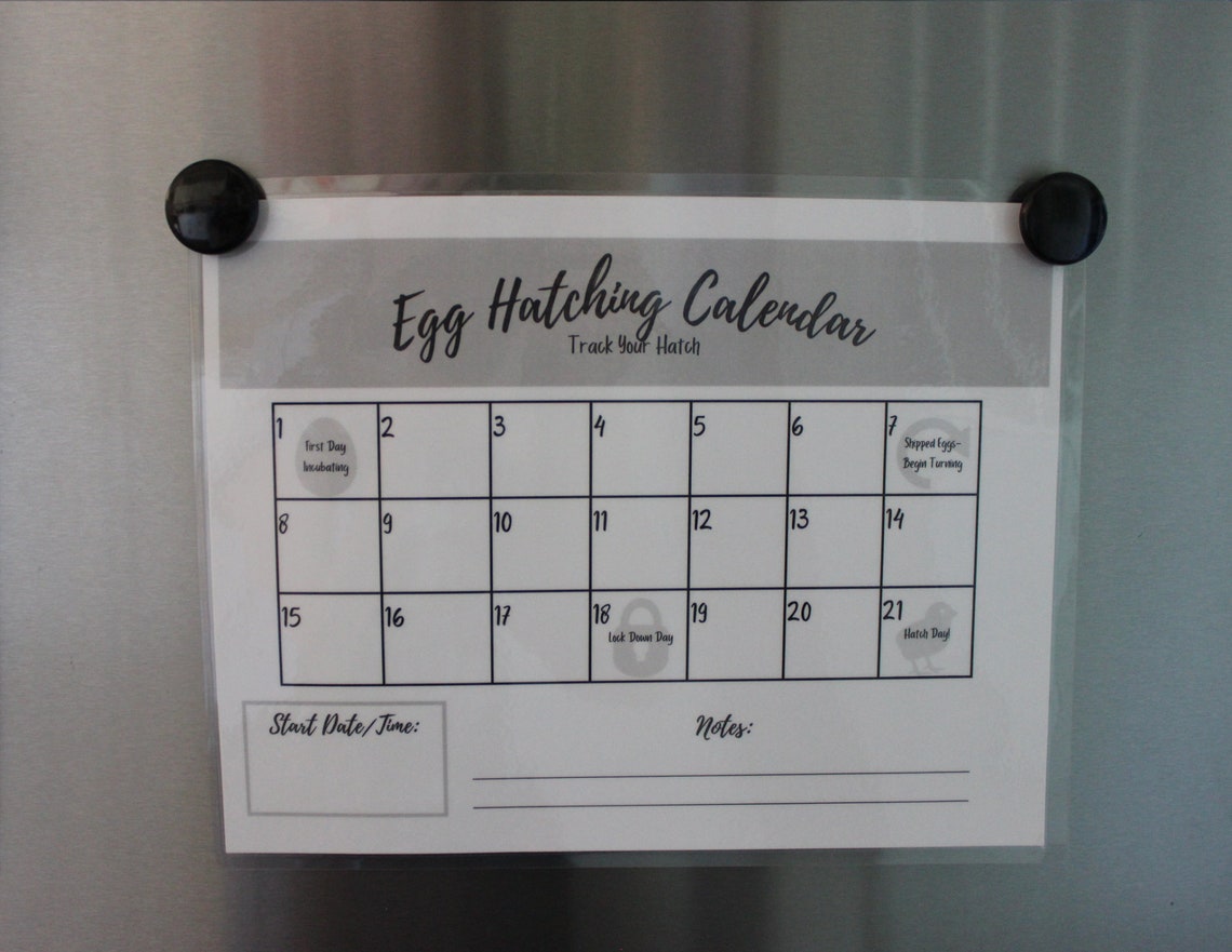 Laminated Egg Hatching Checklist, Egg Hatching Calendar, Egg Hatching Supplies List, Gray, Peach ...