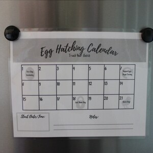 Laminated Egg Hatching Checklist, Egg Hatching Calendar, Egg Hatching ...