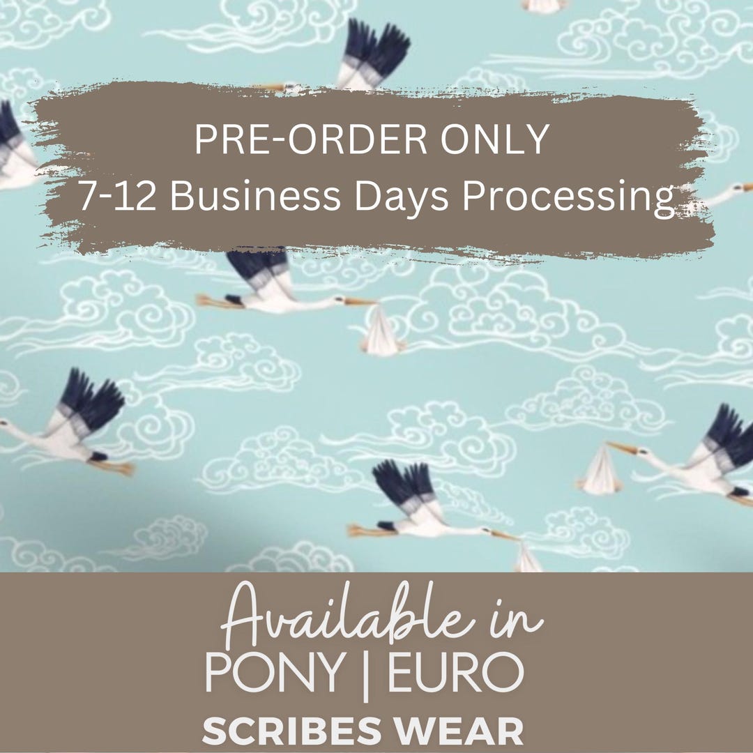 Pre- Order Only! Baby Stork | Newborn| Obstetrician, Labor and Delivery ...