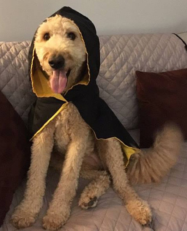 Le Black Wizard & Witch Robes for Dogs and Cat Halloween | Etsy