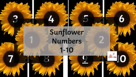 Sunflowers Numbers 1-10 Digital Printable Teachers Resource - Etsy
