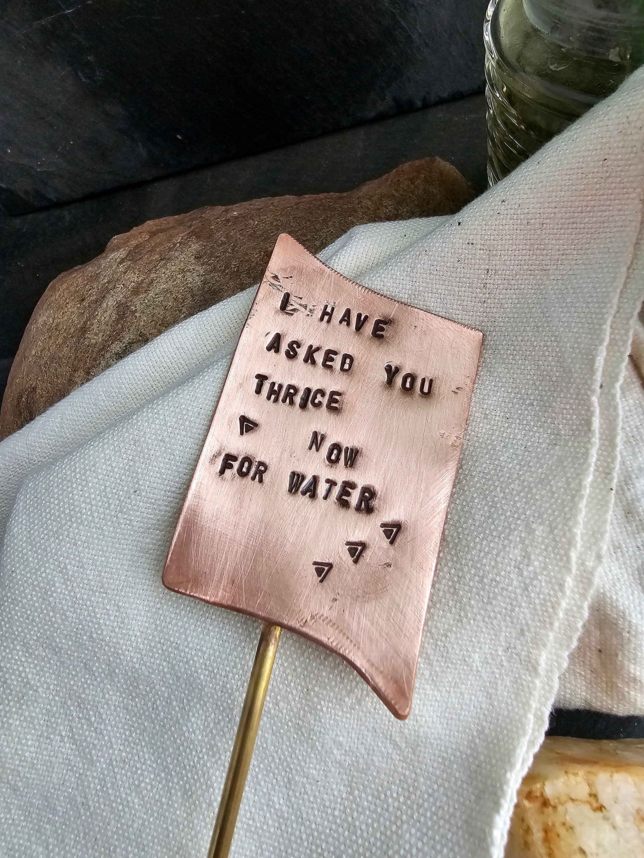 I Have Asked You Thrice Now for Water Plant Sign - Etsy