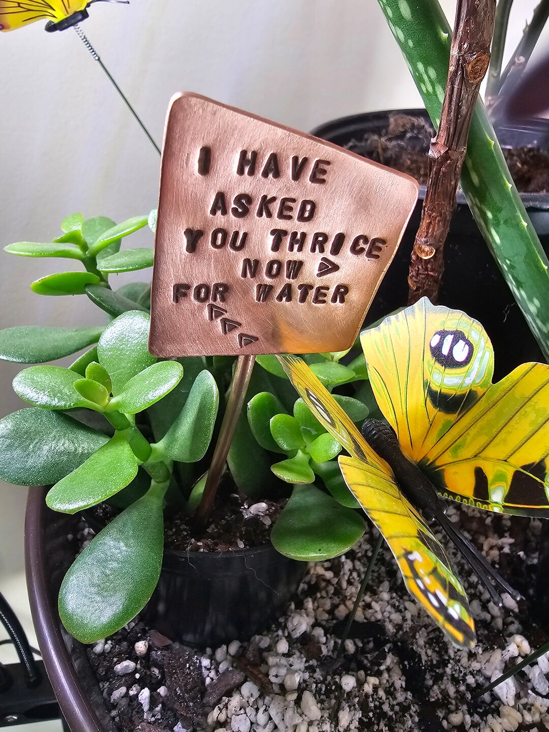 I Have Asked You Thrice Now for Water Plant Sign - Etsy