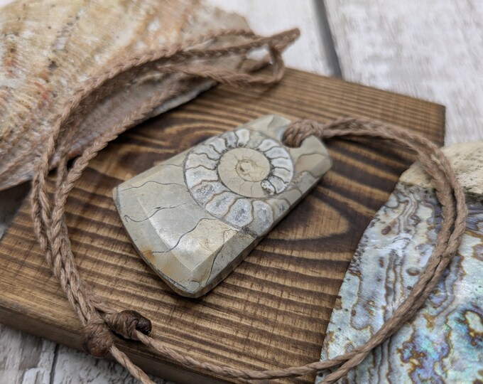 Somerset Limestone Ammonite Pendant. - Etsy