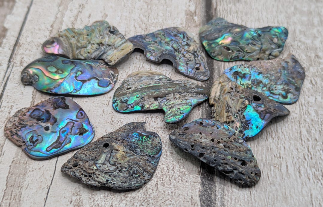 10 Unpolished Rainbow Wild Beach Combed NZ Pāua Shell Beads – Top ...