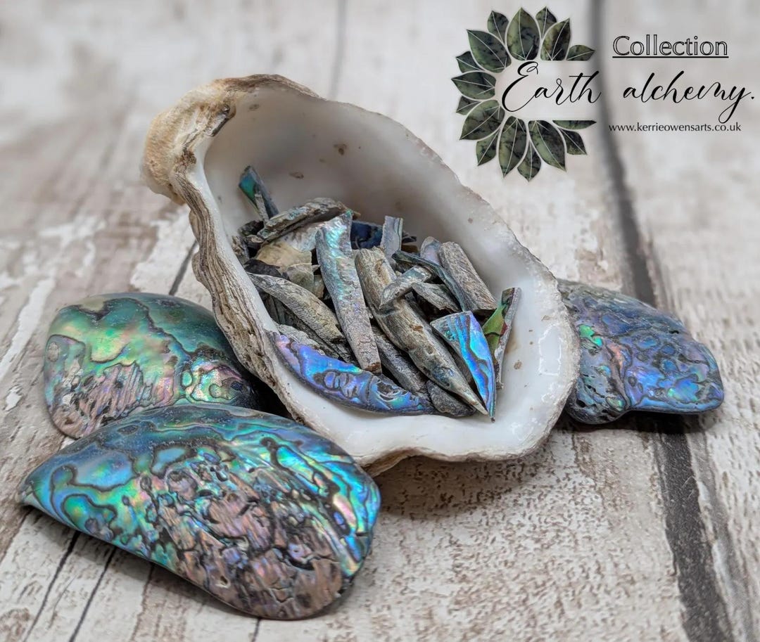 New Zealand Rainbow Pāua Shell off Cuts for Inlay and Craft Projects ...