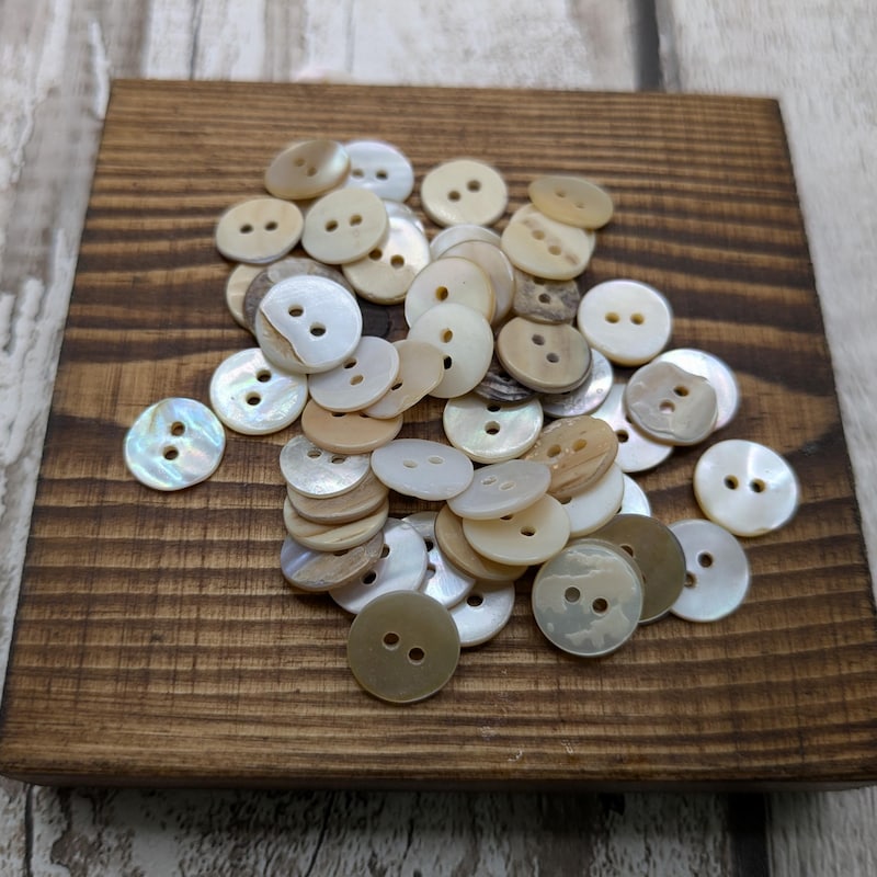 Abalone Buttons - Etsy