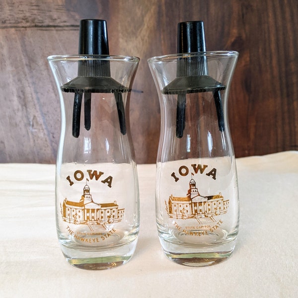 Iowa State Capitol - Etsy