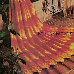 Afghan Ripple Crochet Pattern 50" X 63" Vintage Cluster Point Blanket ...