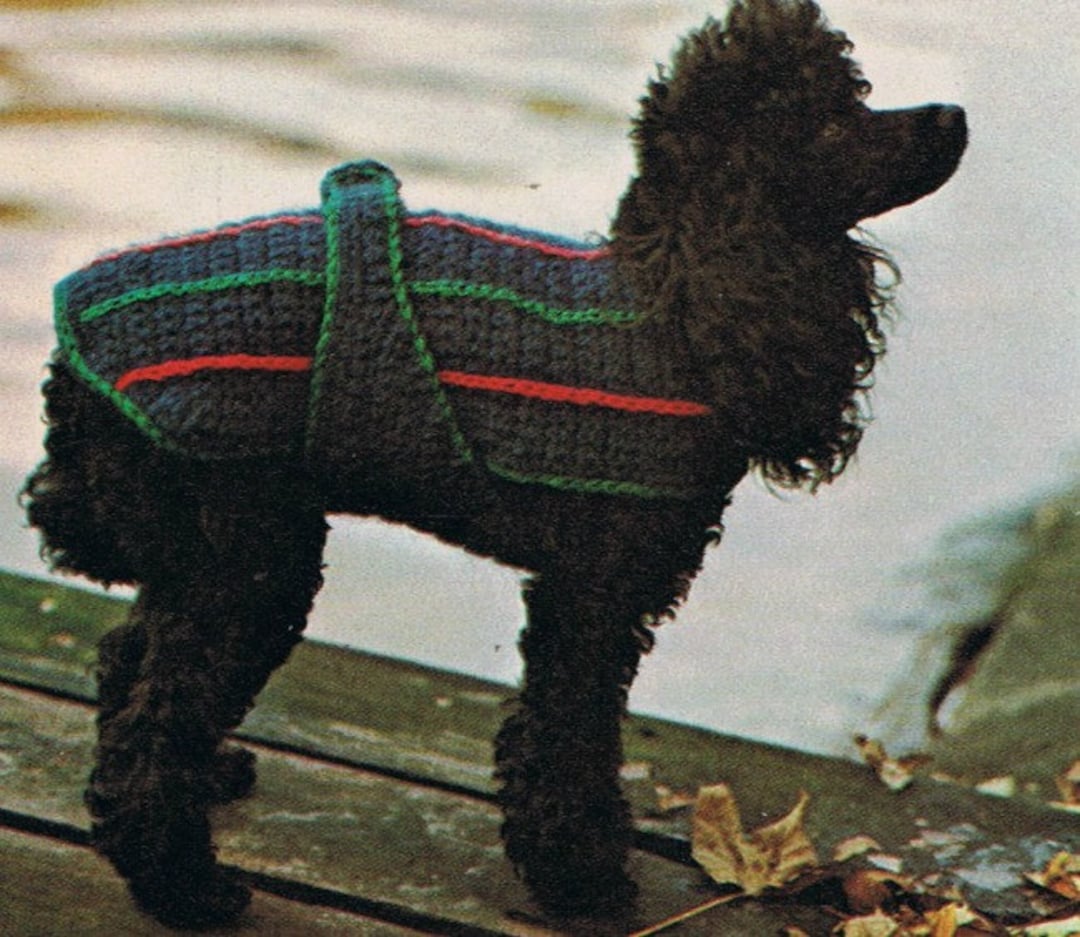 Dog Coat Crochet Pattern Winter Dog Sweater PDF Pattern Instant ...