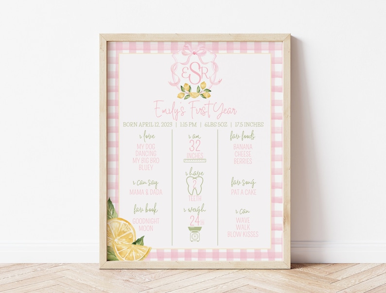 First Birthday Milestone Sign, Pink Gingham Lemonade Milestone Sign ...