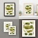 Vintage Moss Print Antique Moss Botanical Print 3 Sizes - Etsy
