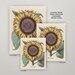 Vintage Sunflower Print or Poster Antique Sunflower Wall Art 4 Sizes ...