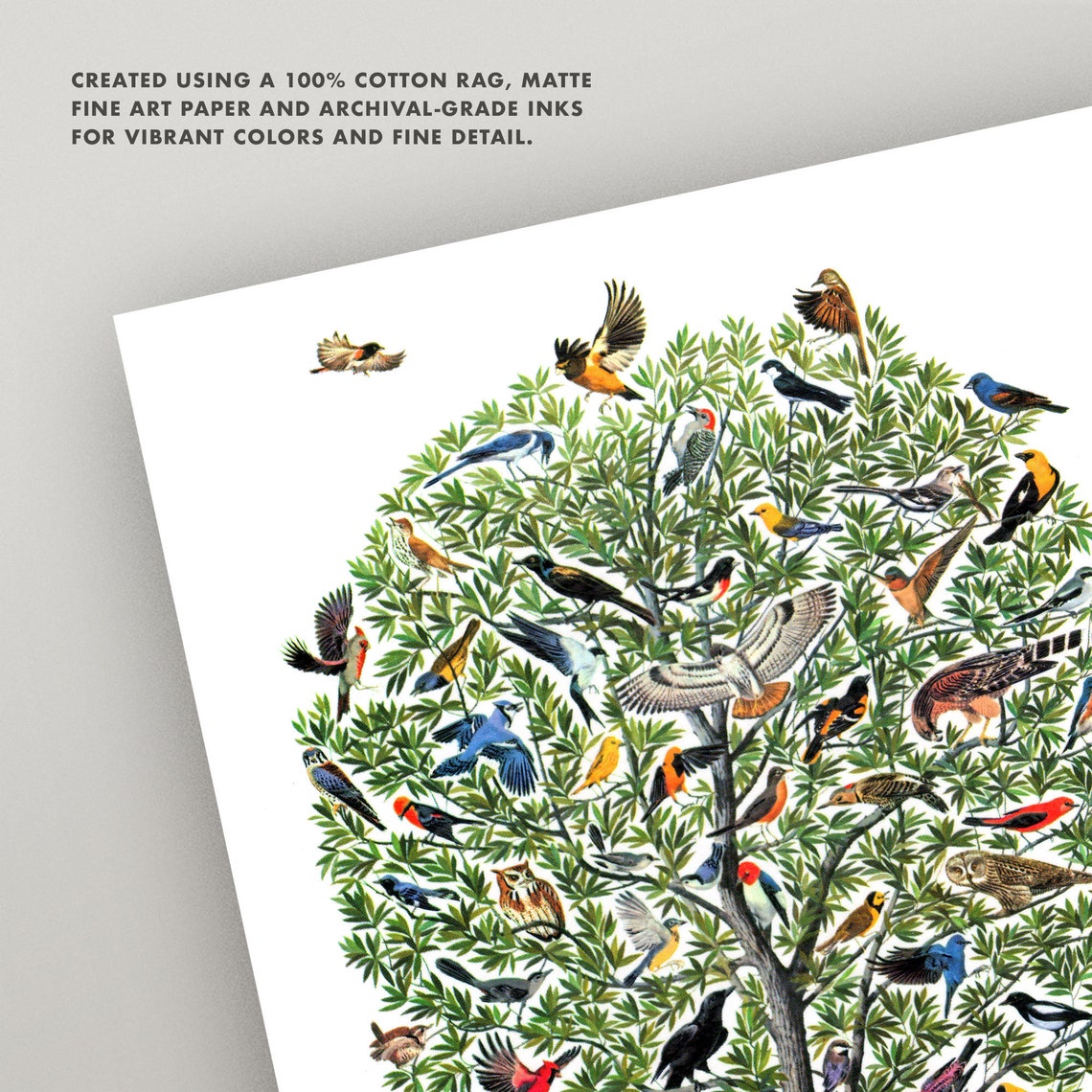 Birds in Tree Print • Mid Century Bird Wall Art • 8X10 Print • Vintage ...