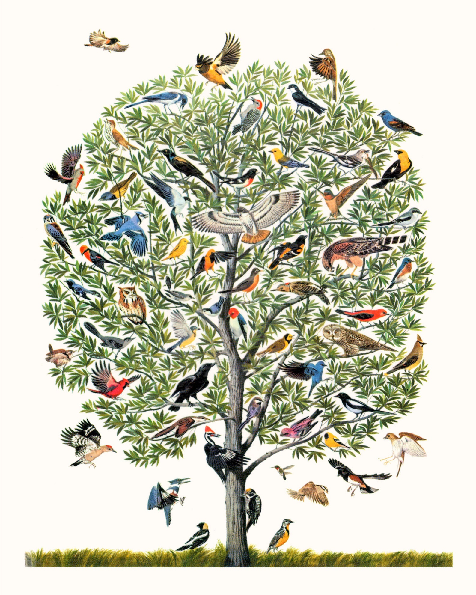 Birds in Tree Print • Mid Century Bird Wall Art • 8X10 Print • Vintage ...