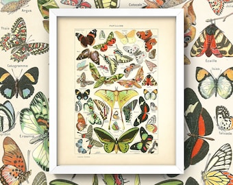 French Butterfly Print - Etsy