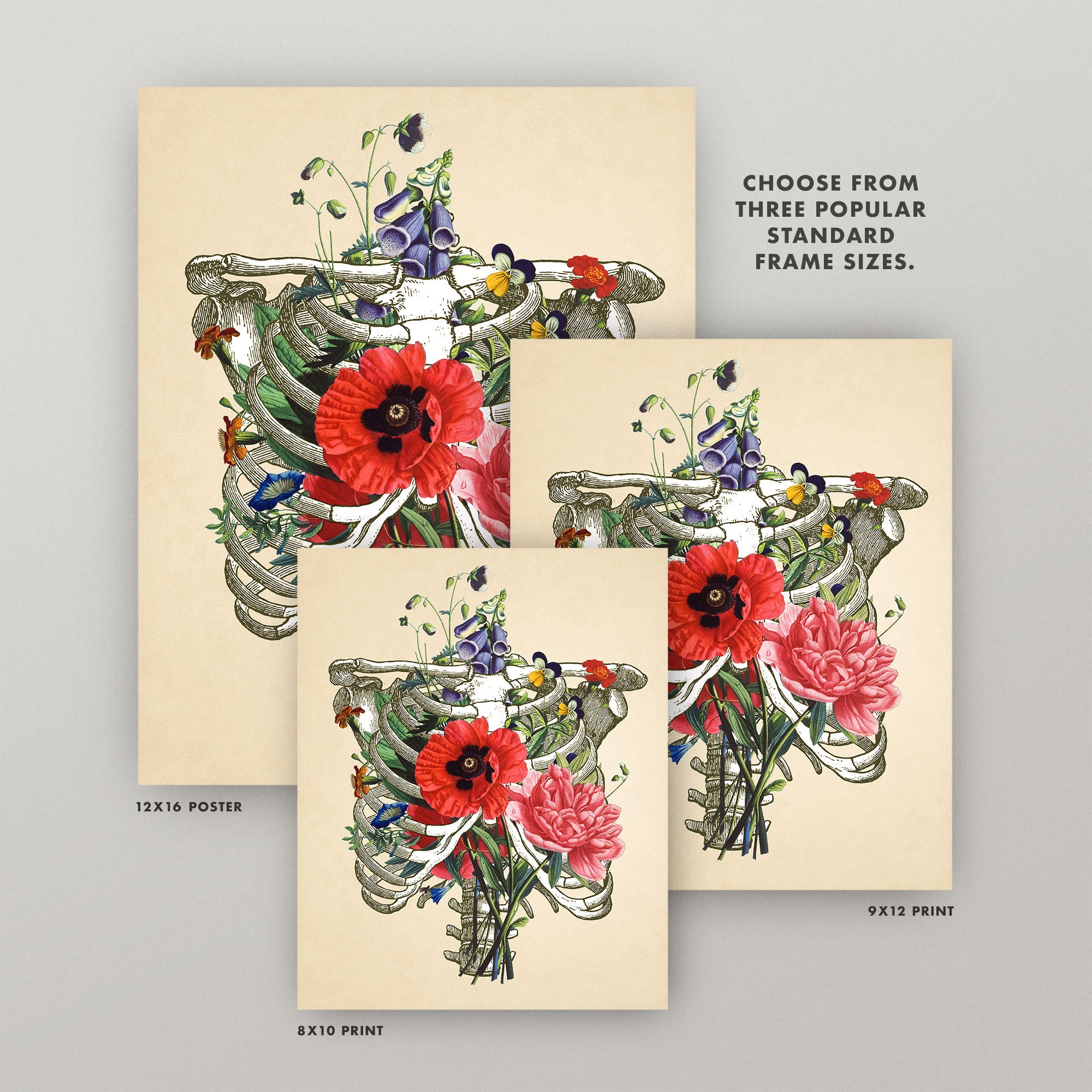 Rib Cage & Vintage Rib Cage and Flowers Collage • 4 Sizes! • Antique ...