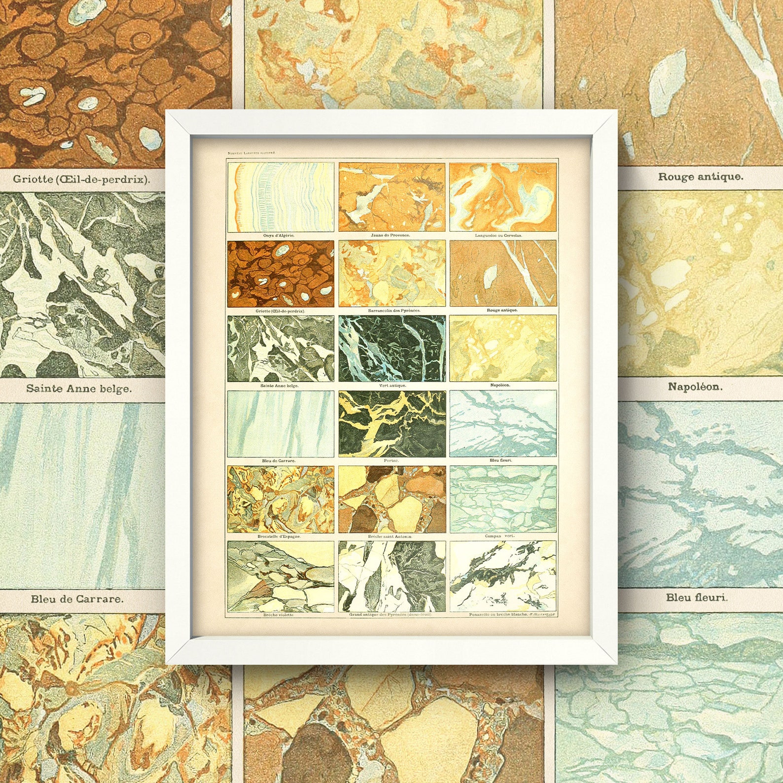 Marble Print Vintage Marble Varieties Diagram 8X10 Print - Etsy